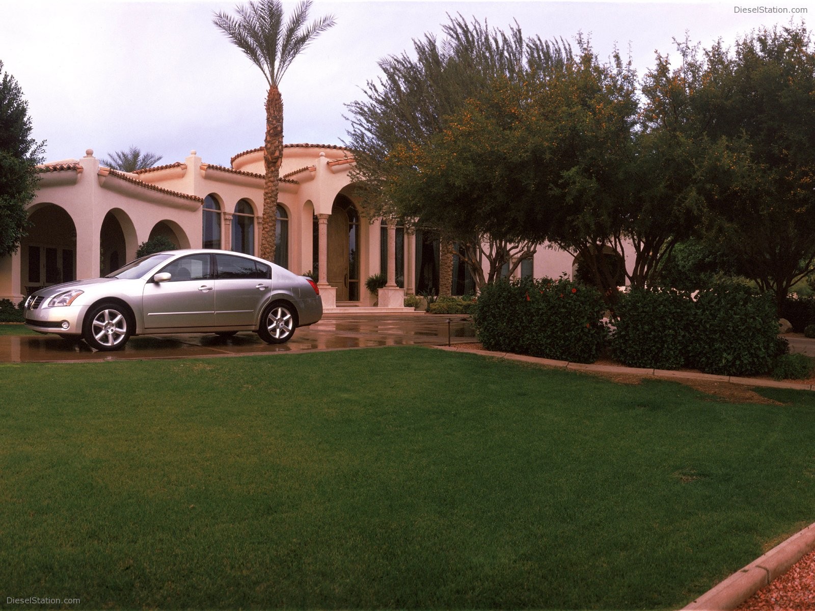 Nissan Maxima (2004) Exotic Car Photo #017 of 19 : Diesel Station